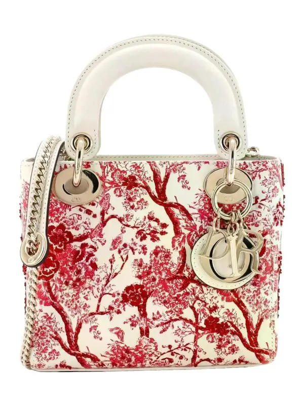 Dior Lady Chain Bag Embroidered Calfskin Mini Satchel - Multicolour
