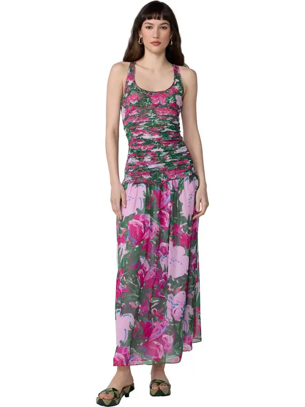 Diane Von Furstenberg Lorna Floral Maxi Dress - Provence Gossip Pink And Tiny Provence