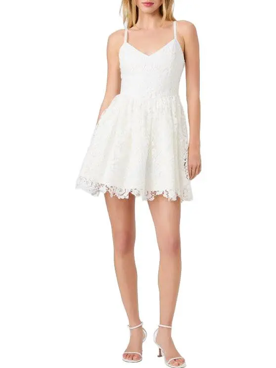 French Connection Lace Mini Dress - Summer White