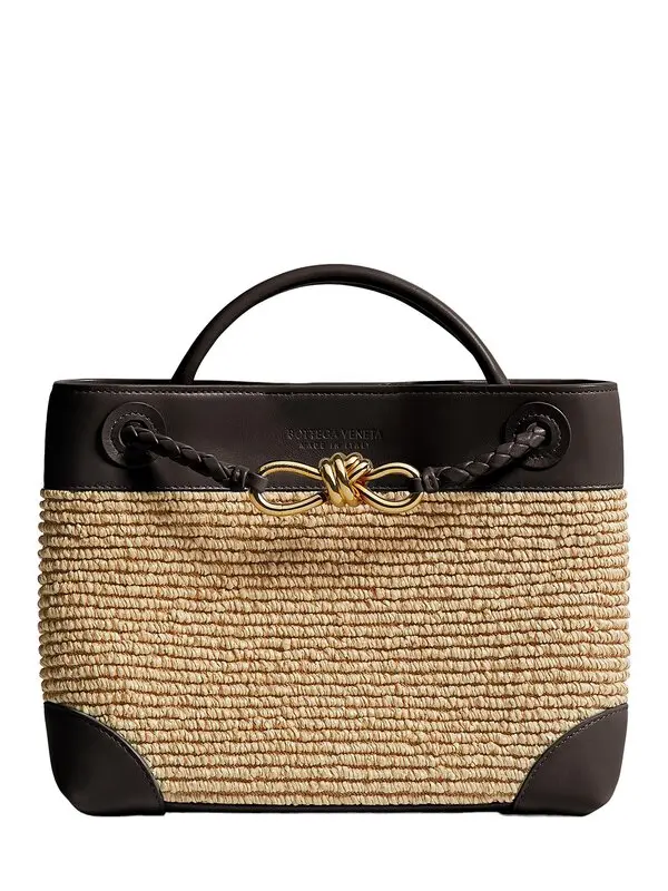 Bottega Veneta Small Andiamo - Natural/espresso