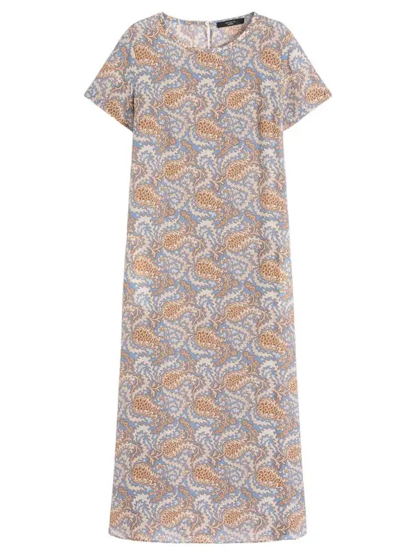 Max Mara Printed Silk Crepe De Chine Maxi Dress - Light Blue