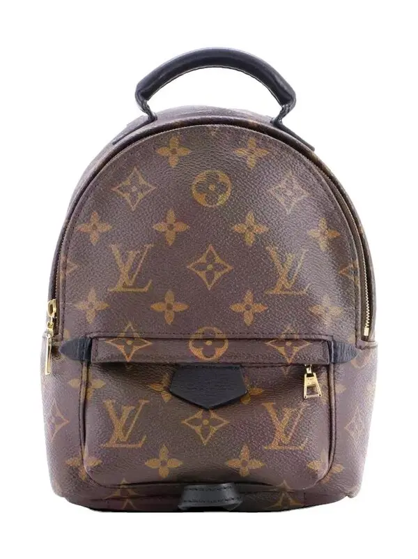 LOUIS VUITTON Palm Springs Mini Backpack - Brown