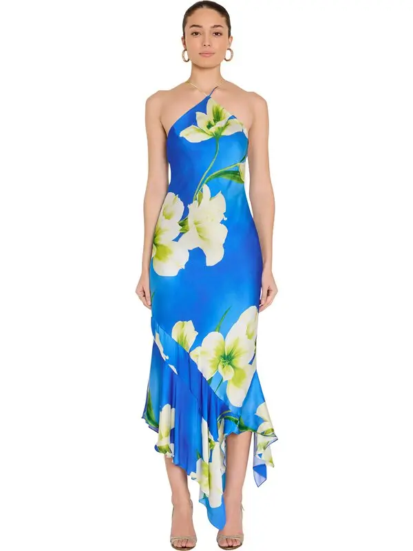 Amanda Uprichard Gabriella Midi Dress - Mallorca Print