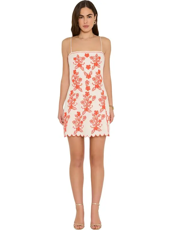 Amanda Uprichard Coraline Embroidered Mini Dress - Natural Combo