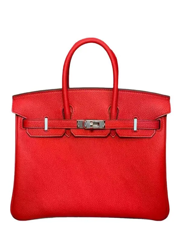 Hermès Birkin 25 Togo Handbag - Red