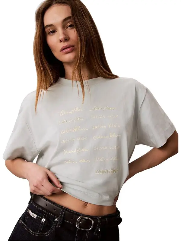 Calvin Klein Graphic Logo Boxy T-shirt - Pale Meadow