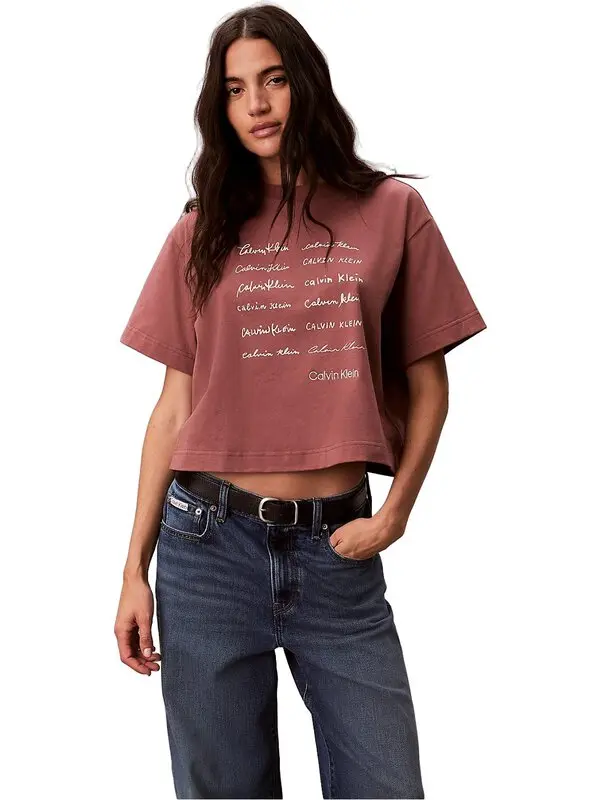 Calvin Klein Graphic Logo Boxy T-shirt - Sierra Brown