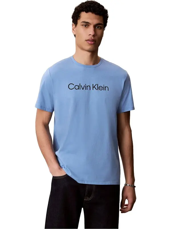 Calvin Klein Standard Logo Graphic Classic T-shirt - Allure
