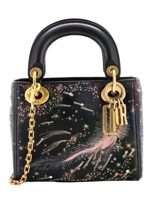 Dior Lady Chain Bag Embroidered Calfskin Mini Satchel - Black