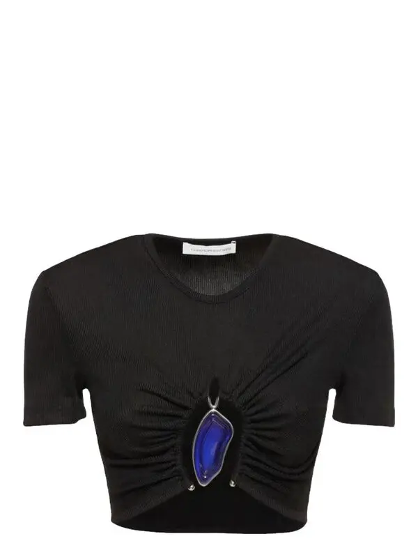 Christopher Esber Cut-out Ribbed Crop Top - Black