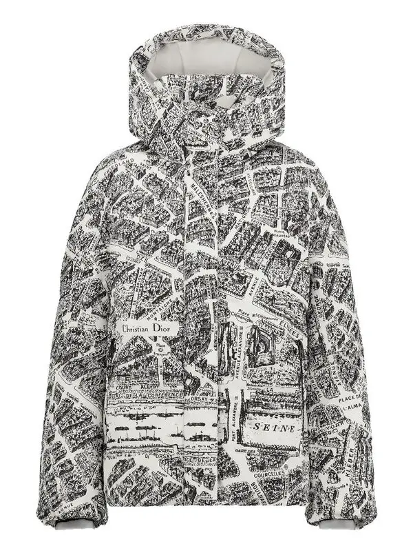 Dior Alps Hooded Down Jacket - Gray