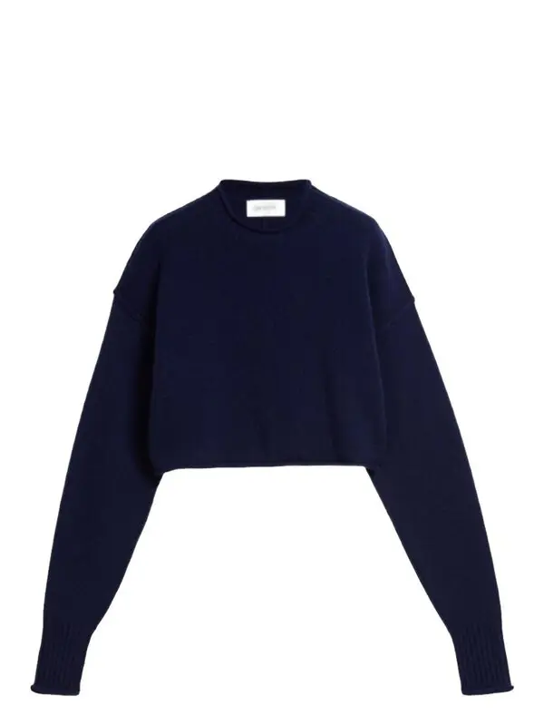 Sportmax Crewneck Long-sleeved Cropped Jumper - Black