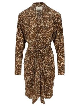 Isabel Marant Étoile Leopard Print Long Sleeve Dress - Leopardprint