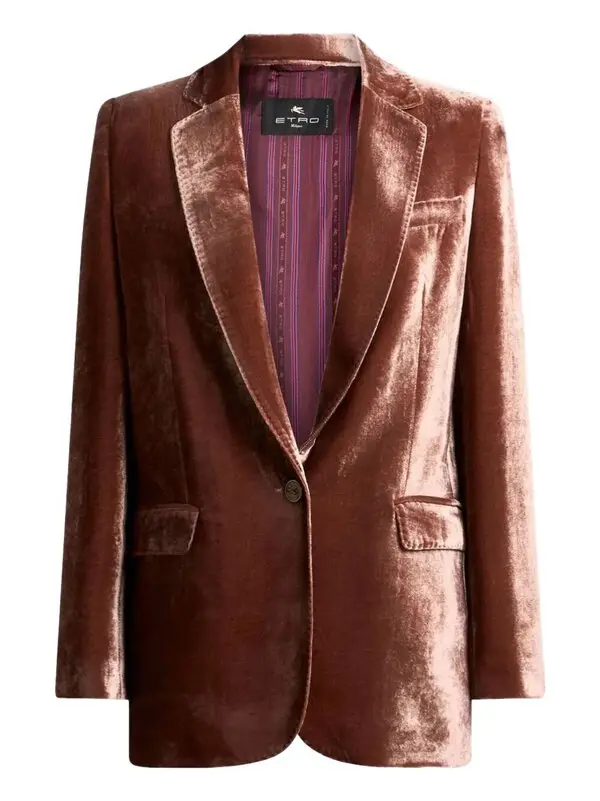 Etro Single-buttoned Velvet Blazer - Brown