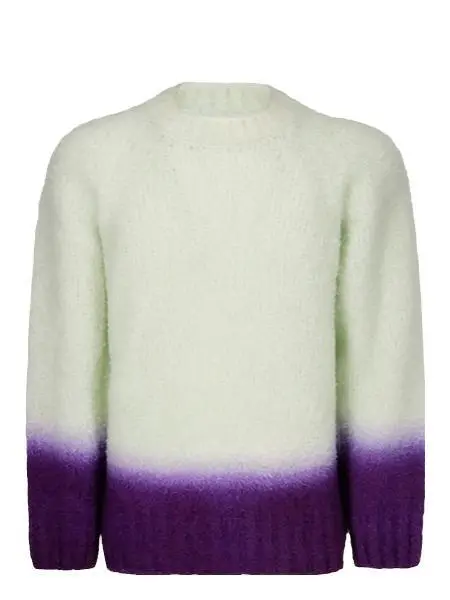 Sacai Gradation Knit Jumper - Green/purple