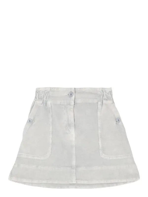 Etro Pegaso Embroidery Skirt - Grey