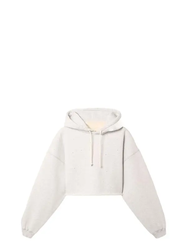 GOLDEN GOOSE Crystal Cropped Hoodie - Vintage Gray Mixed Color