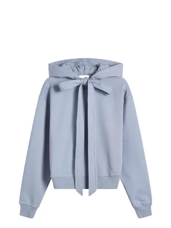 J.W.ANDERSON Organic Cotton Hoodie With Tie Detail - Blue