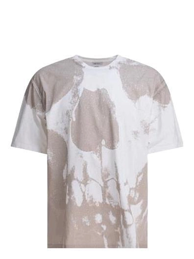 Alexander McQueen Skull Printed Crewneck T-shirt - No