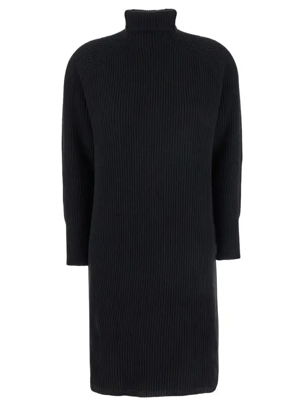 Max Mara Ribbed Turtleneck Long-sleeved Dress - Black