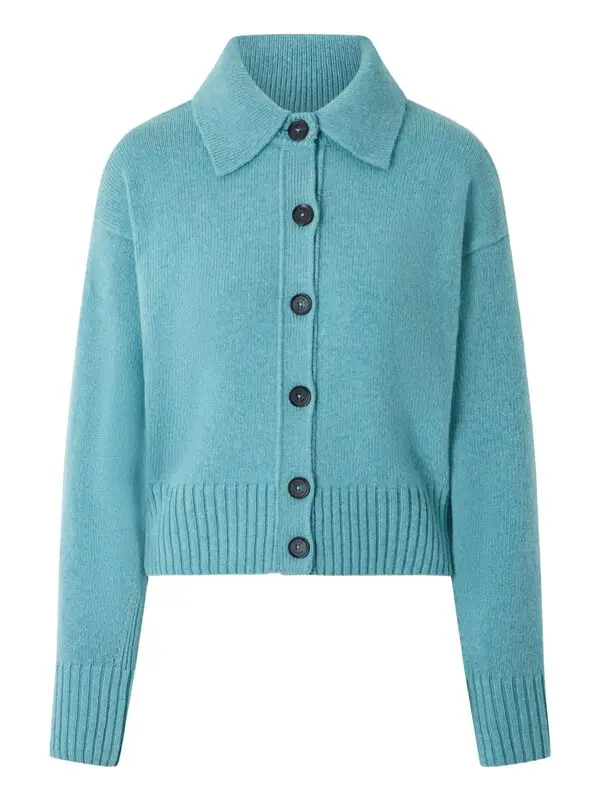 Proenza Schouler Long-sleeved Ribbed Knit Shirt - Blue