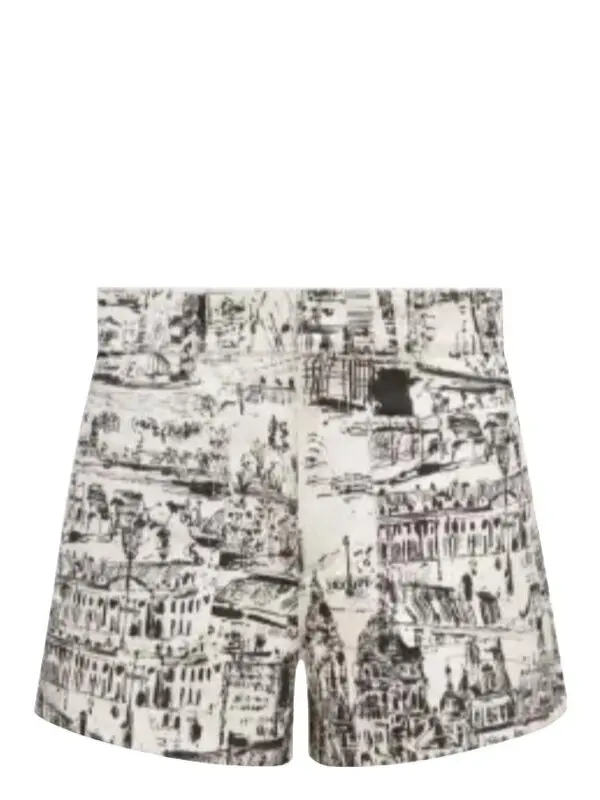 Dior Printed Shorts - Gray