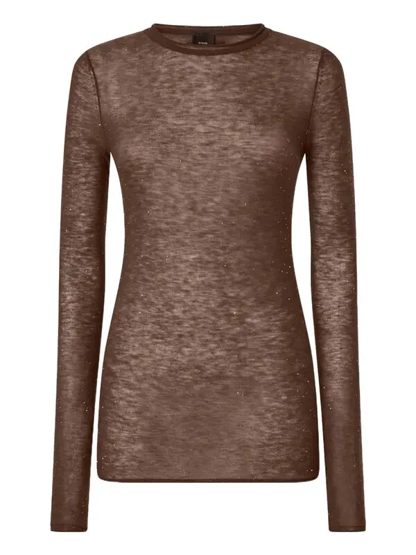 Pinko Sheer Detailed Long-sleeve T-shirt - Brown