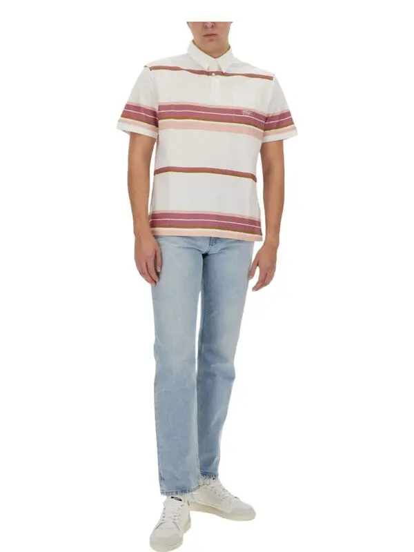 Etro Pegaso-embroidered Short-sleeved Striped Polo Shirt - Multicolor
