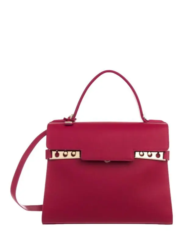 Delvaux Logo Handbag - Red