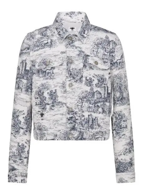 Dior Embroidered Bee And Cd Signature Jacket - Gray