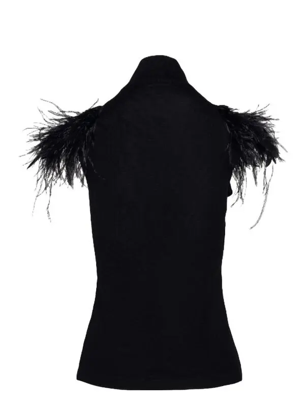 Alberta Ferretti Feather-trimmed High Neck Blouse - Black