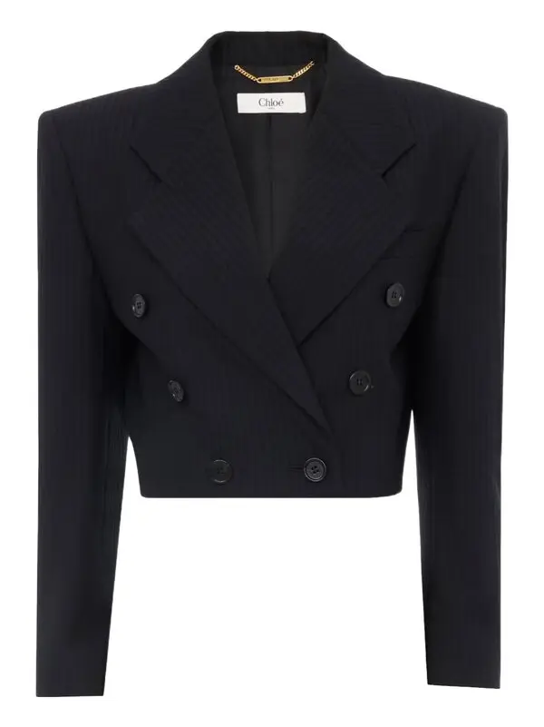 Chloé Spencer Striped Button Blazer - Black