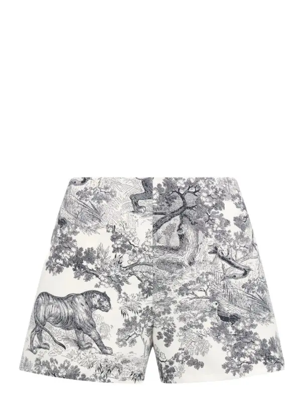 Dior Printed Shorts - Multicolor