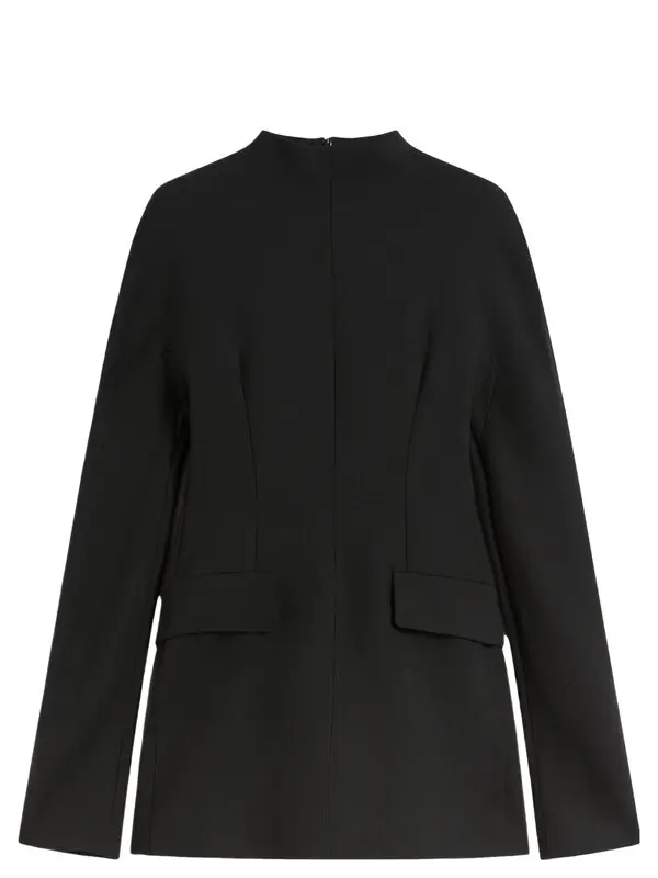Sportmax Tefrite Long-sleeved Mini Dress - Black