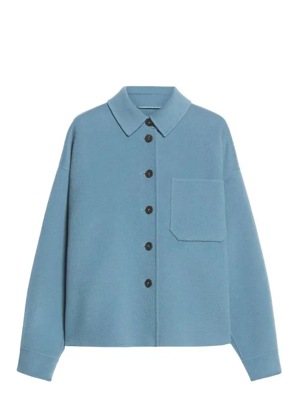 Max Mara Buttoned Long-sleeve Jacket With Pointed Collar - Blue