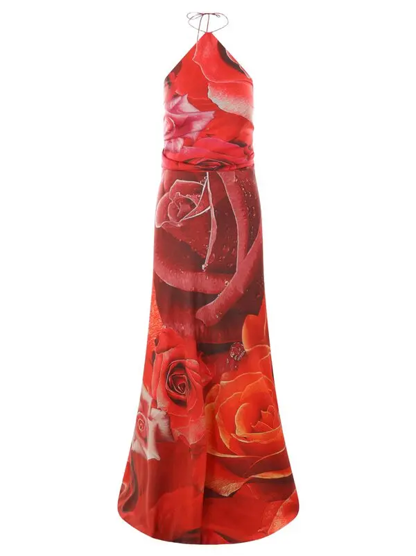 Roberto Cavalli Garden Rose-printed Halterneck Maxi Dress - Red