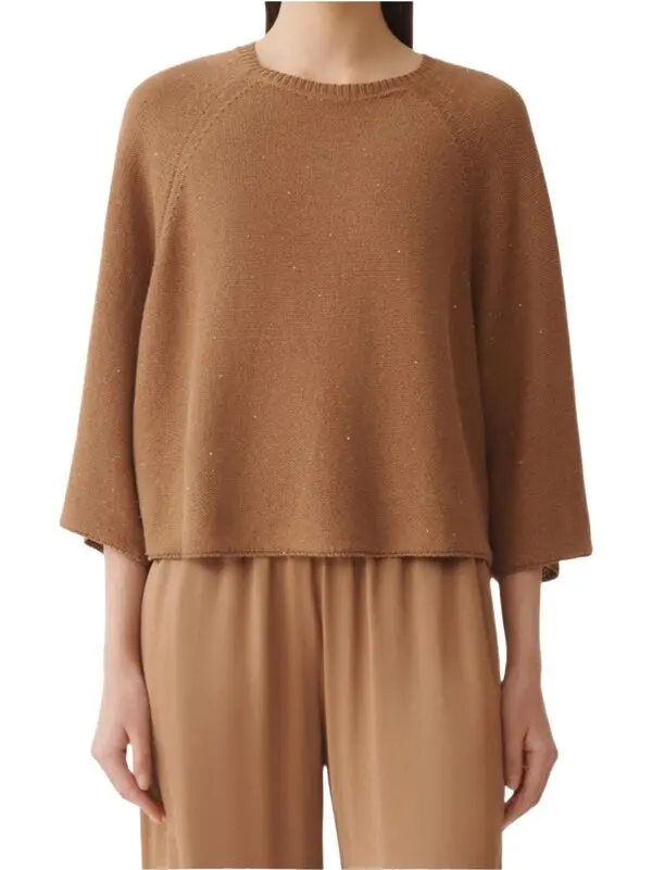 Fabiana Filippi Embellished Crew Neck Sweater - Brown