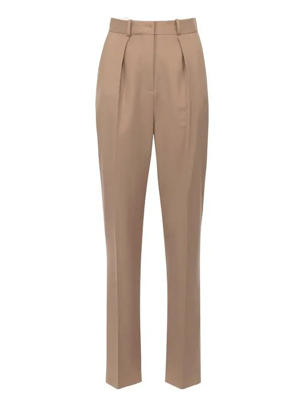 Elisabetta Franchi Tailored Pleated Trousers - Brown