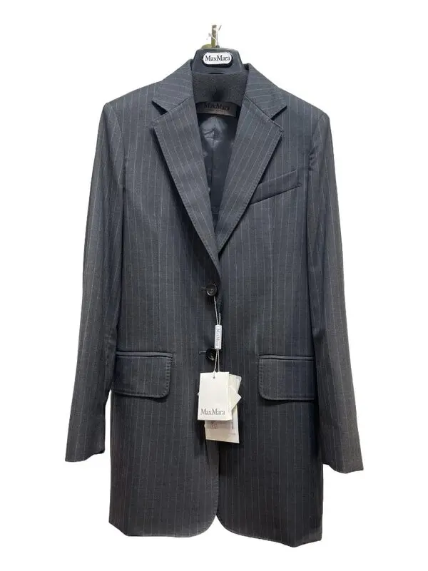Max Mara Striped Single-breasted Blazer - Gray