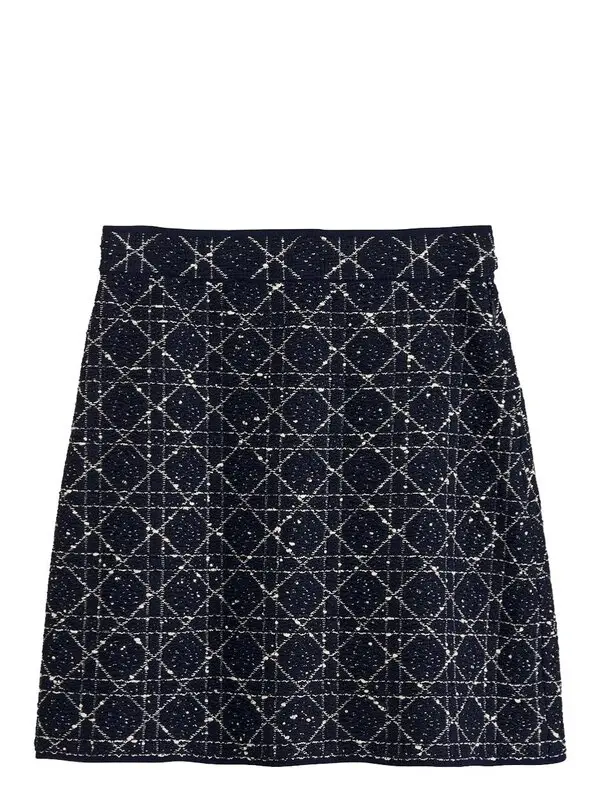 Dior Flared Miniskirt - Black