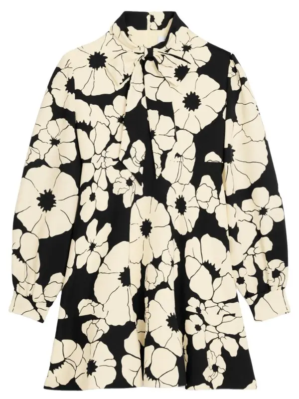 Celine Skater Mini Dress In Wool Organza With Floral Print - Black/cream