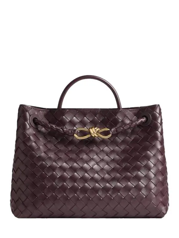 Bottega Veneta Andiamo Medium Shoulder Bag - Dark Barolo