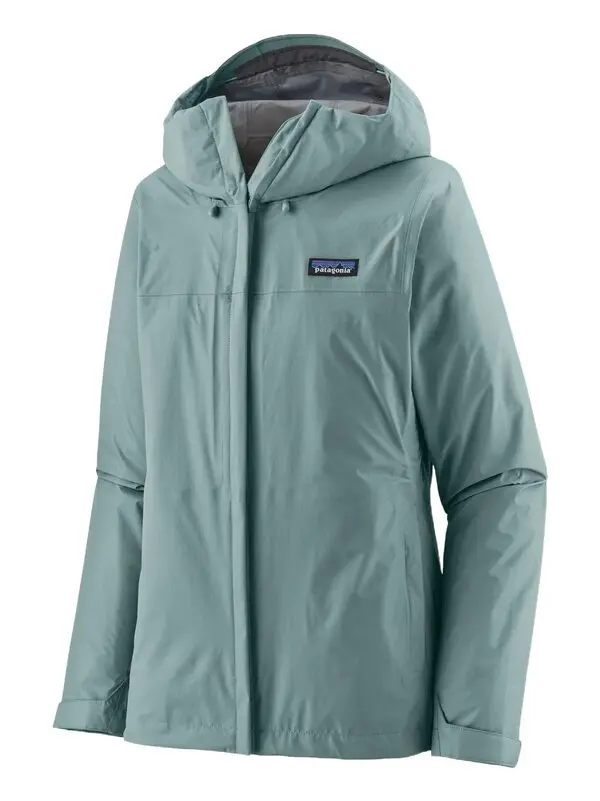 Patagonia Long-sleeved Hooded Casual Jacket - Sage Blue