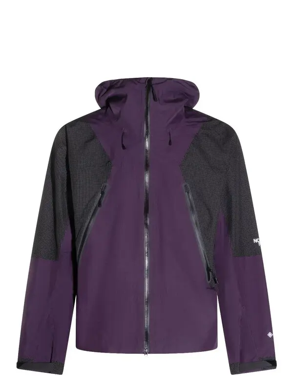 The North Face Paneled Hooded Jacket - No