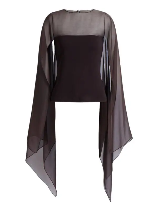 Alberta Ferretti Sheer Cape-sleeved Top - Brown