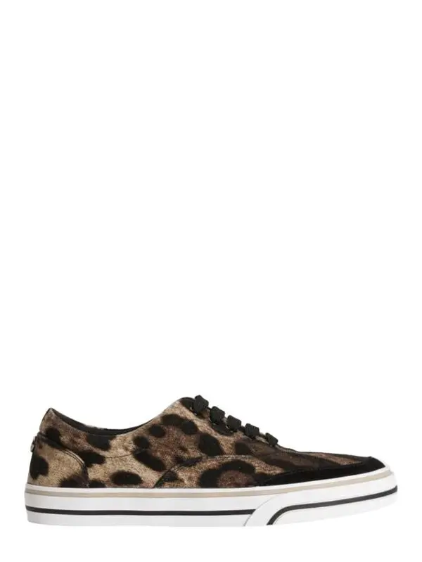 Dolce & Gabbana Leopard Print Dg Sailing Sneakers - Multicolor
