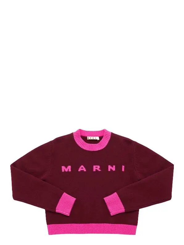 Marni Wool Cashmere Knit Sweater - Brown