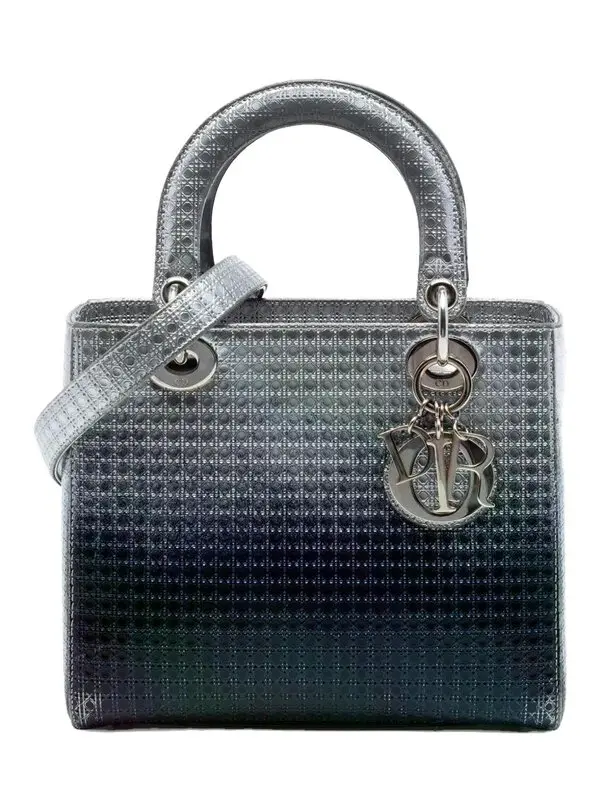 Dior Lady Satchel - Silver