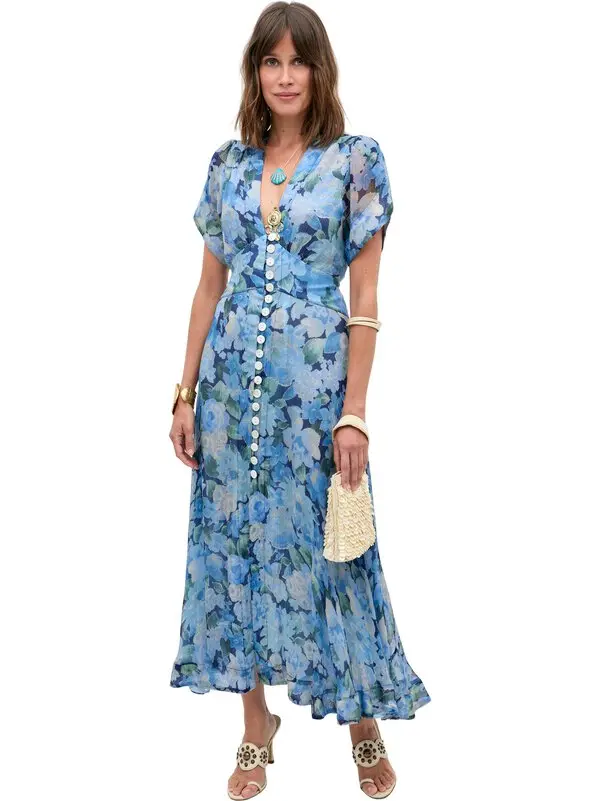 Rixo Novara Chelsea Floral Maxi Dress - Blue