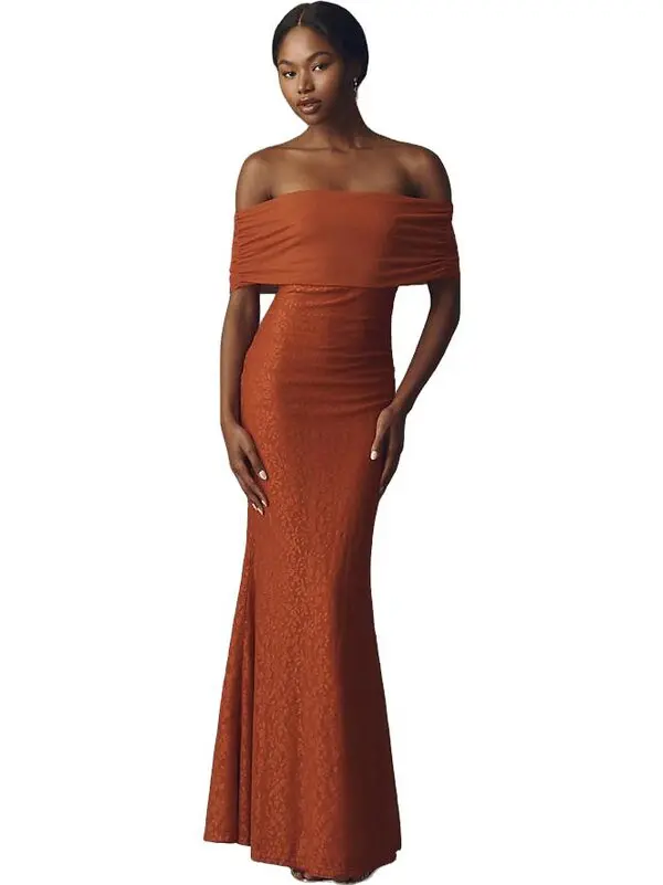 Bhldn Off-the-shoulder Lace And Mesh Maxi Dress - Picante